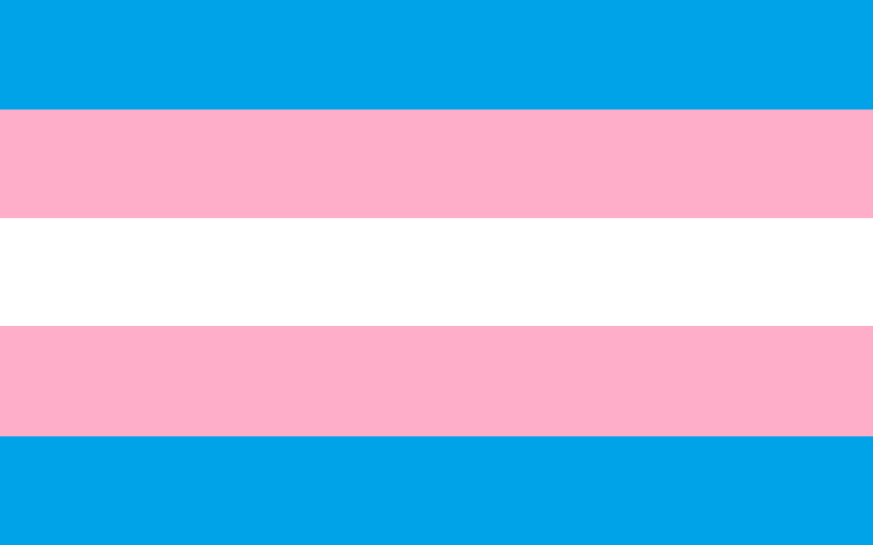 Gender and Sexuality Pride Flags – David Mariner